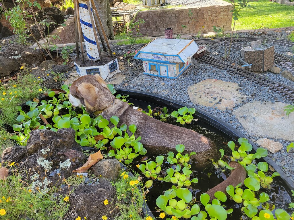 How model towns get their names - General Discussion - Large Scale Central