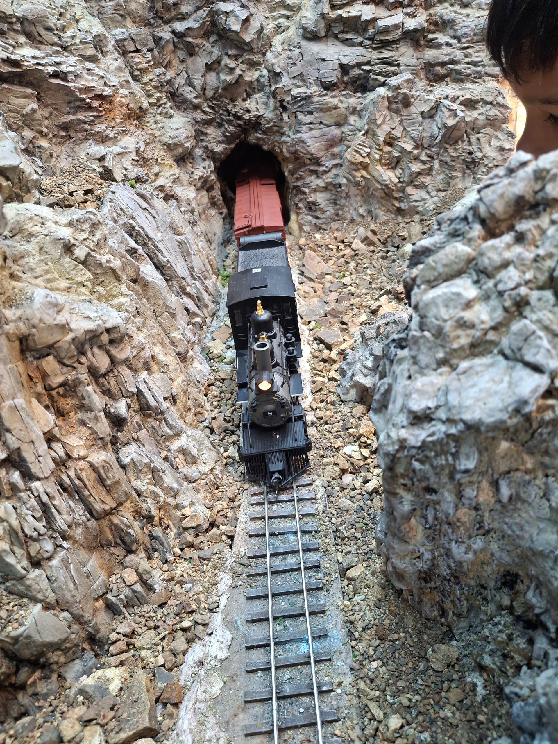 National Garden Railroad Convention 2025 -- A Tropical Take - Conventions, Shows, Clubs and Get ...